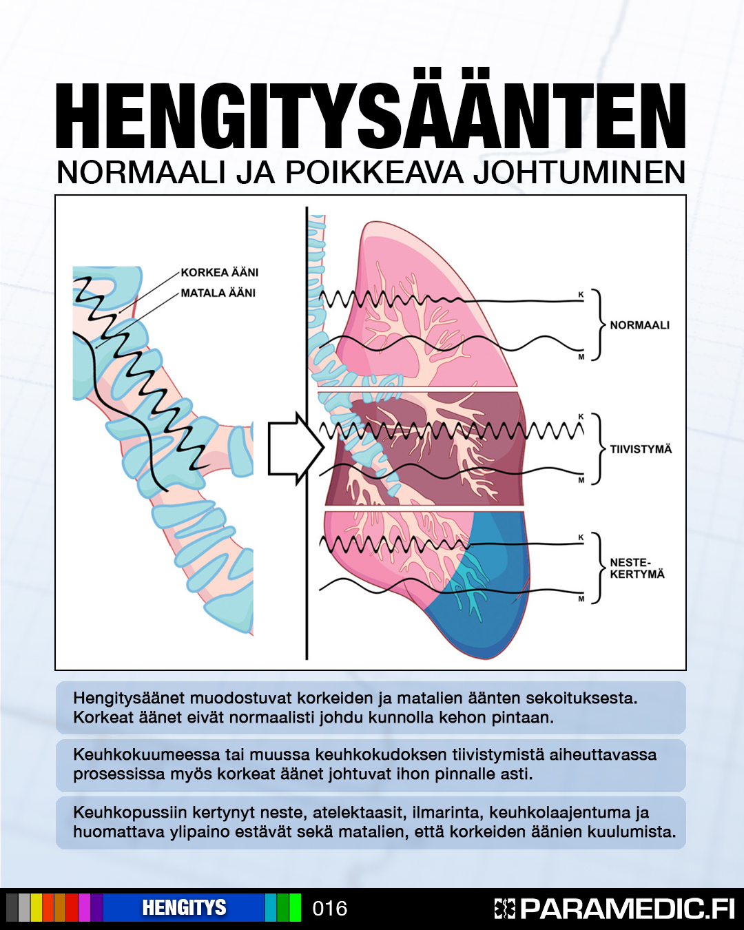 Infograafi 016: Hengitysäänten normaali ja poikkeava johtuminen ...